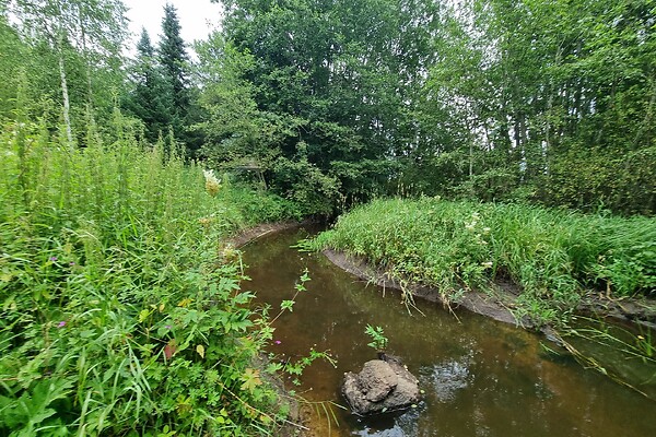 Müüa maja - Kirtsi, Peipsiääre vald, Tartumaa - Kinnisvaraportaal KV.EE